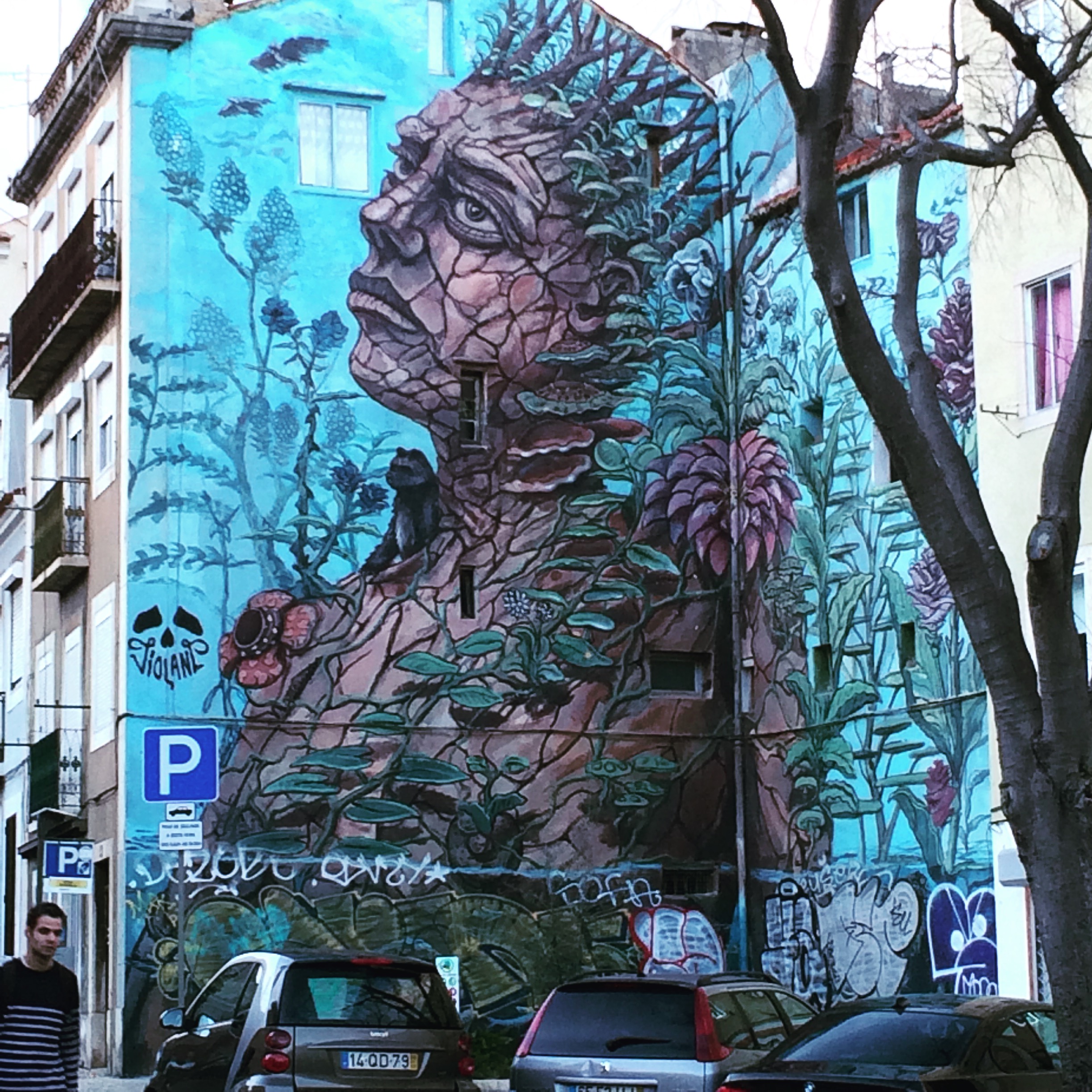 Paredes animadas (4)