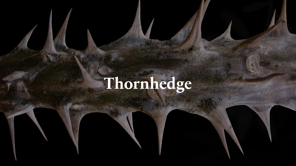 Thornhedge – T. Kingfisher